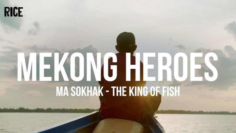 Ma Sokhak, The King of Fish | Our Grandfather Story - Rice Content & Media